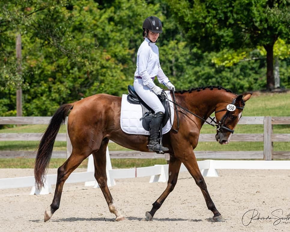 OLD OAKS EQUESTRIAN, llC – Building Confident Riders and Horses Through Fun
