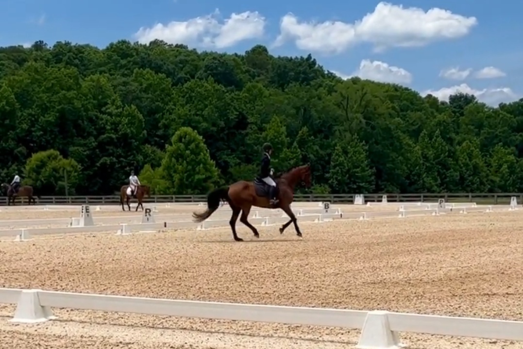 Training – OLD OAKS EQUESTRIAN, llC